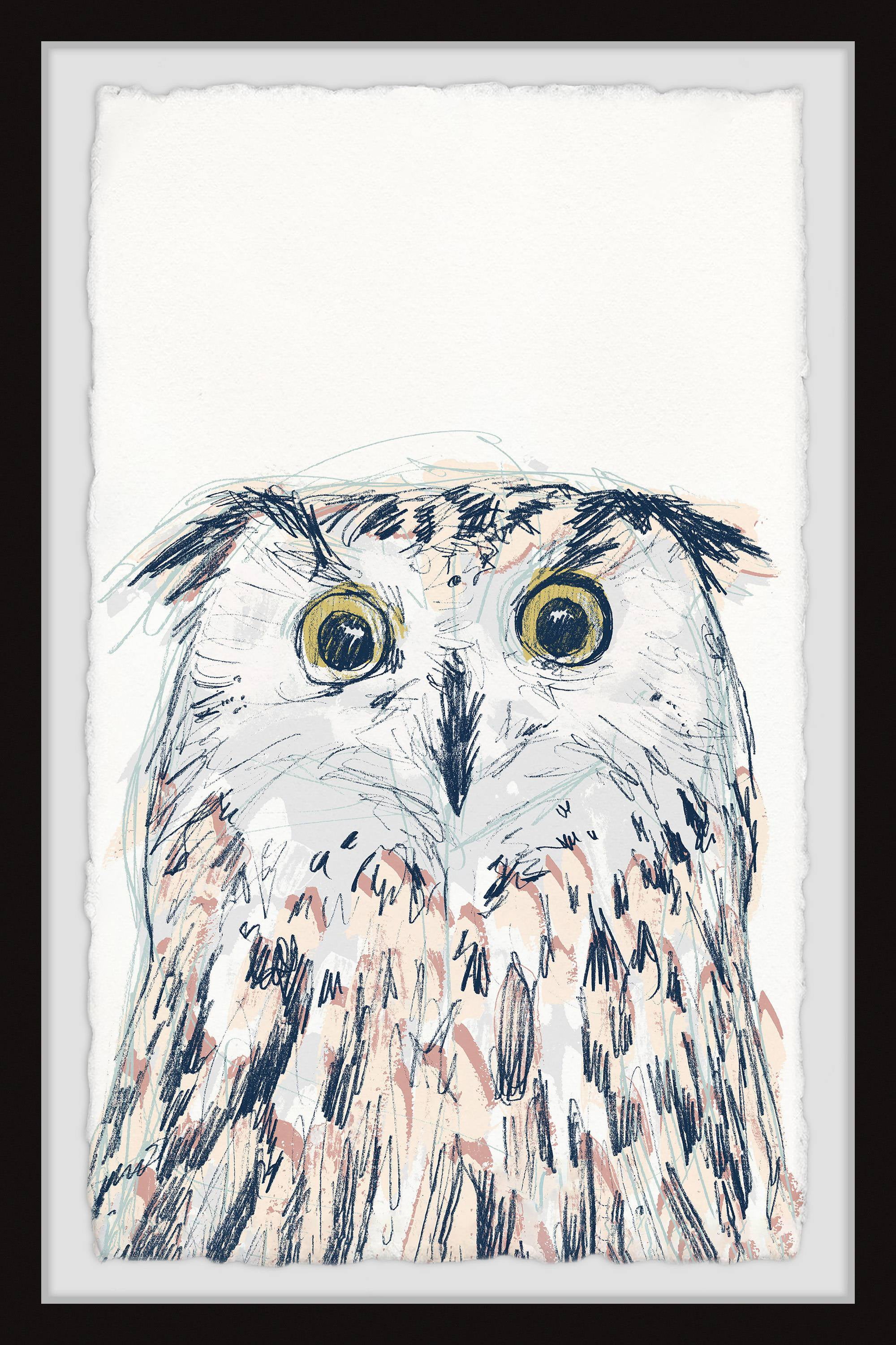 Marmont Hill Funky Owl Portrait II Framed Wall Art - Walmart.com