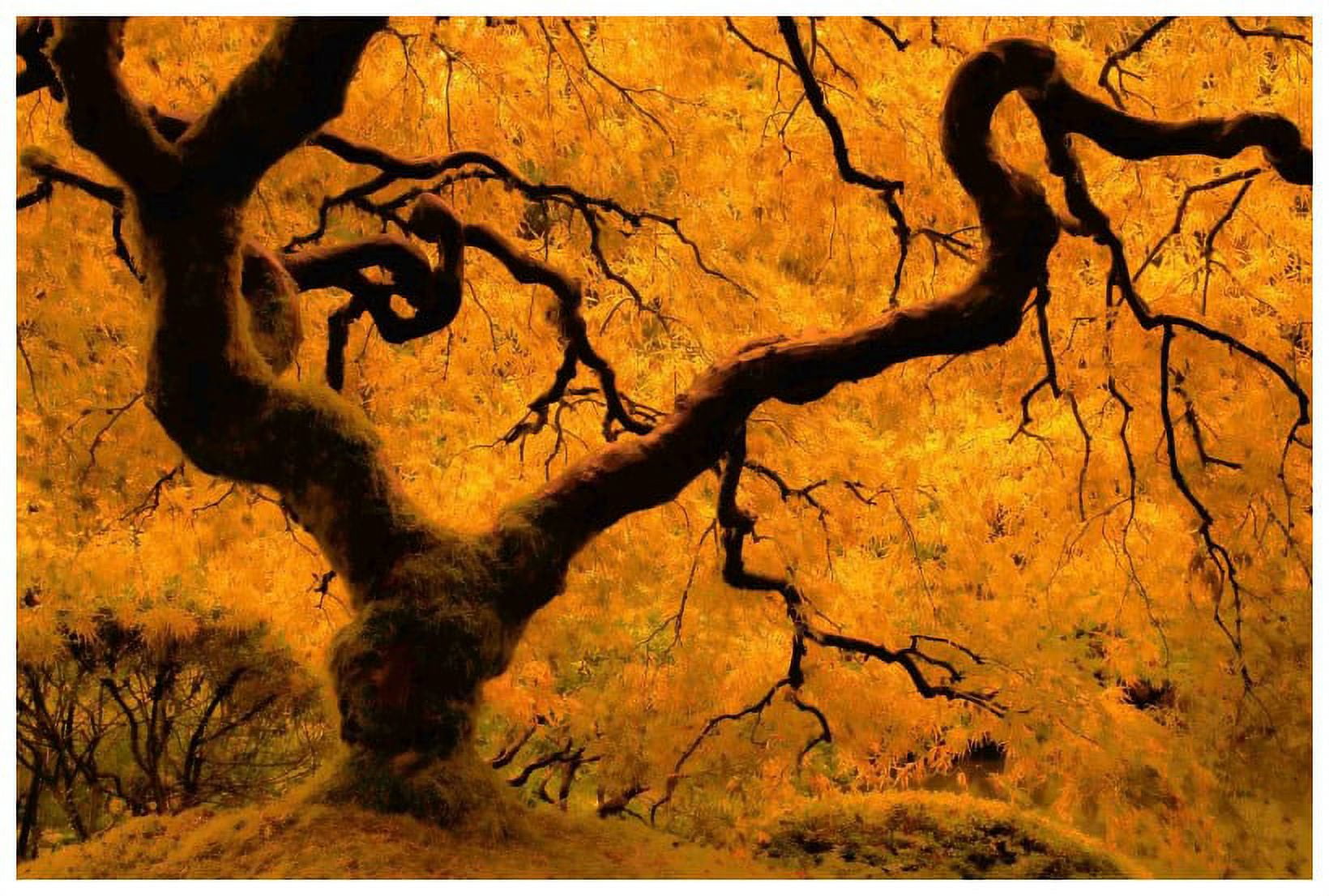 MH Limned In Light Giclee Art Print - Walmart.com