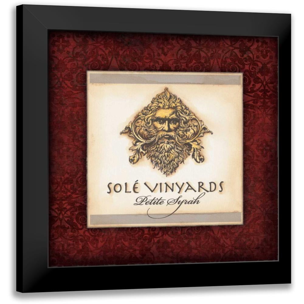 Marrott, Stephanie 15x15 Black Modern Framed Museum Art Print Titled ...