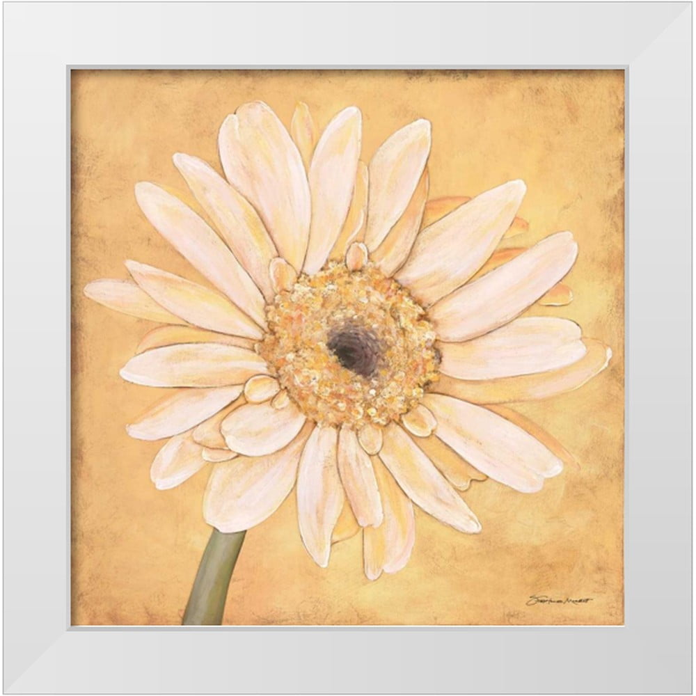 Marrott, Stephanie 20x20 White Modern Wood Framed Museum Art Print Titled - Gerber IV - Walmart.com