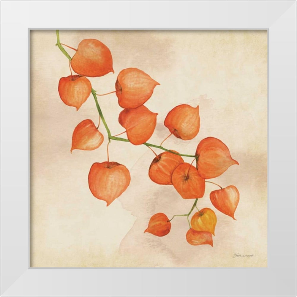 Marrott, Stephanie 20x20 White Modern Wood Framed Museum Art Print Titled - Lanterns In Fall ...