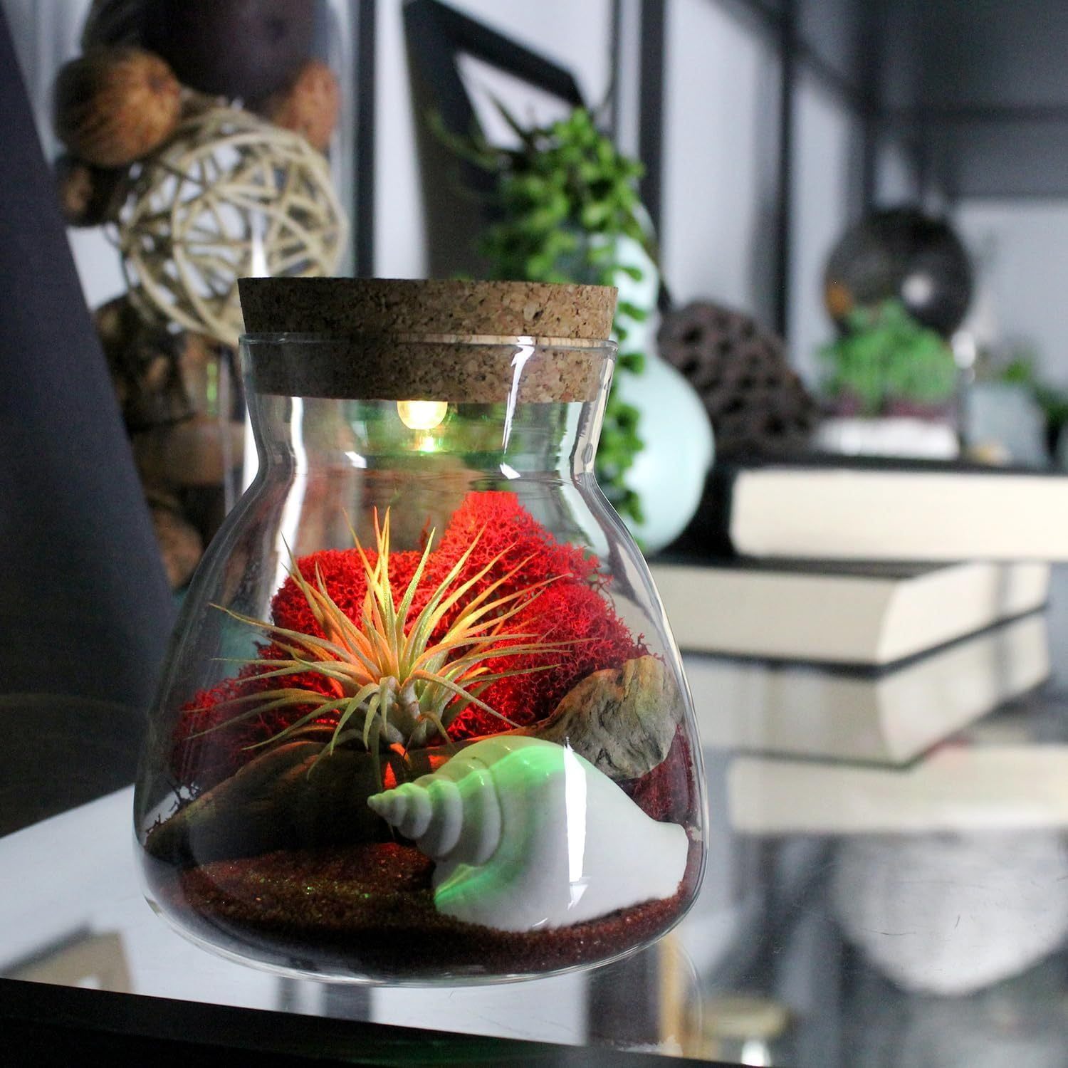 Marsala Sand LED Air Plant Terrarium Kit | Conical Glass Vase with Cork ...