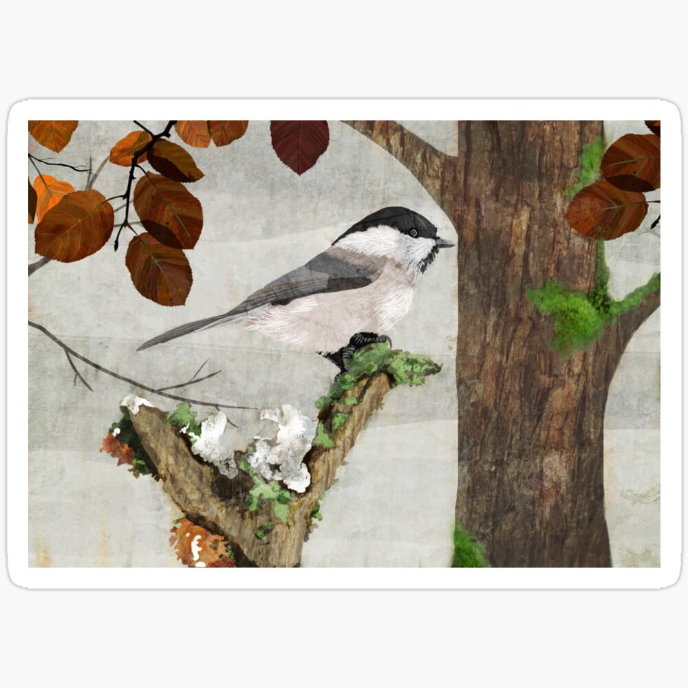 Marsh Tit Sticker Phone Decal Water Bottle Stickers Car Decals, Laptop ...