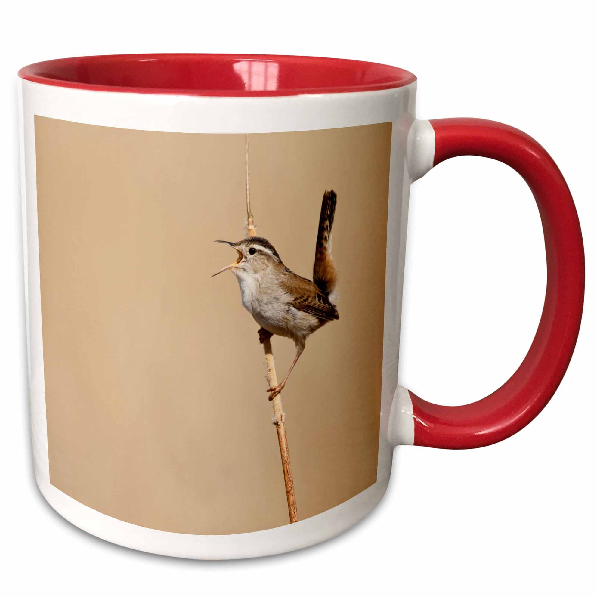 3drose, Marsh Wren Bird, Summer Lake Wildife Area, Oreogn - Us38 ...