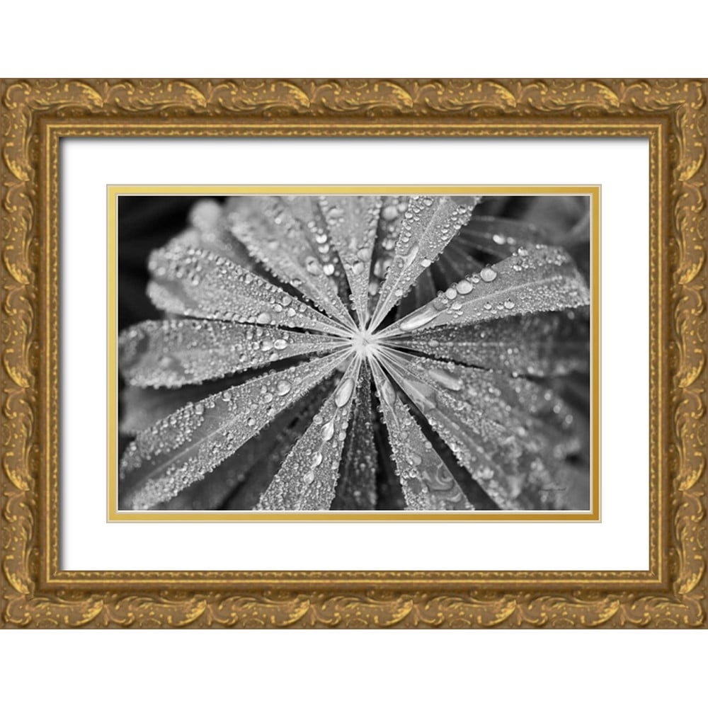 Marshall, Laura 14x11 Gold Ornate Wood Framed with Double Matting ...