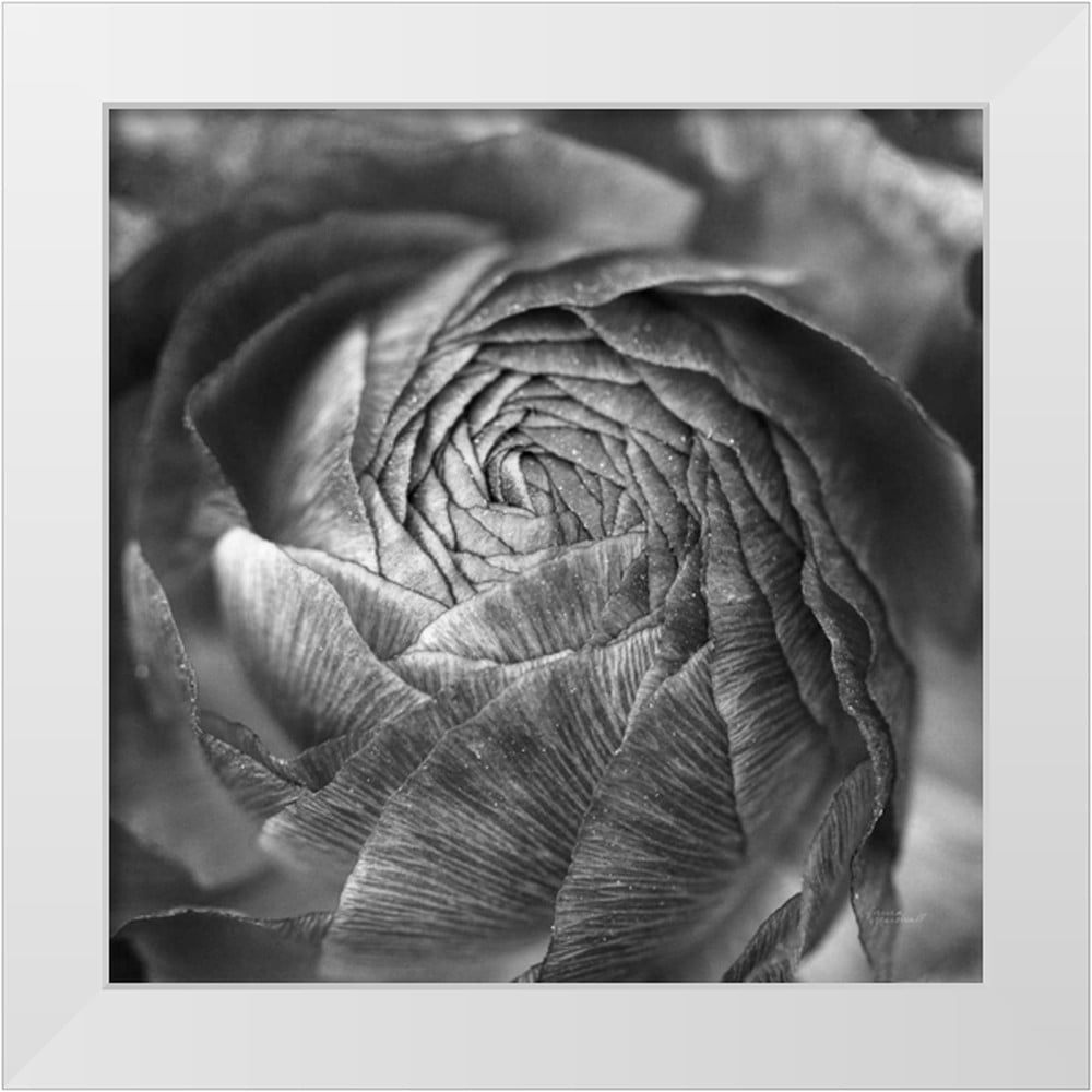 Marshall, Laura 15x15 White Modern Wood Framed Museum Art Print Titled ...