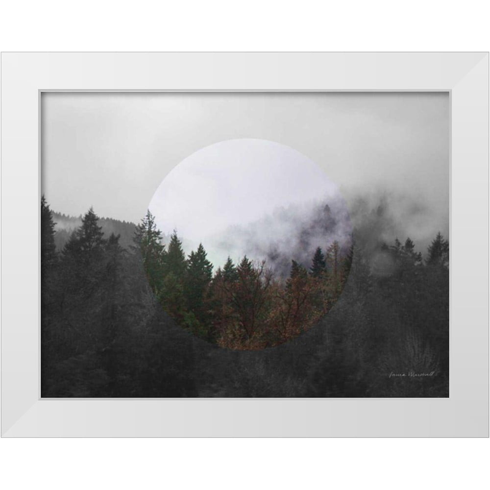 Marshall, Laura 24x19 White Modern Wood Framed Museum Art Print Titled - Bold Adventures II v2 ...