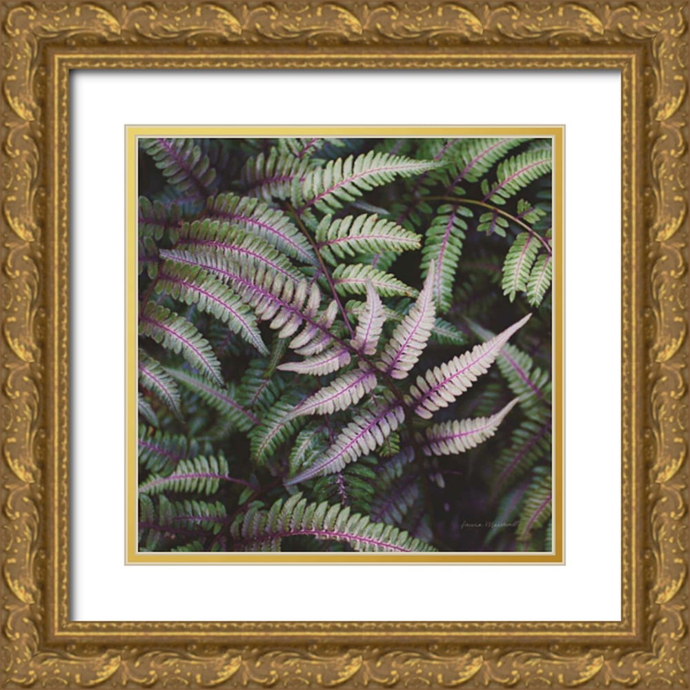 Marshall, Laura 26x26 Gold Ornate Wood Framed with Double Matting ...