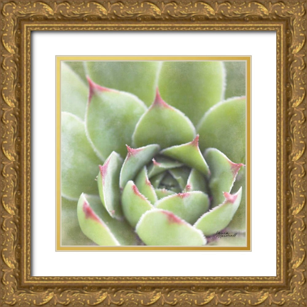 Marshall, Laura 26x26 Gold Ornate Wood Framed with Double Matting ...