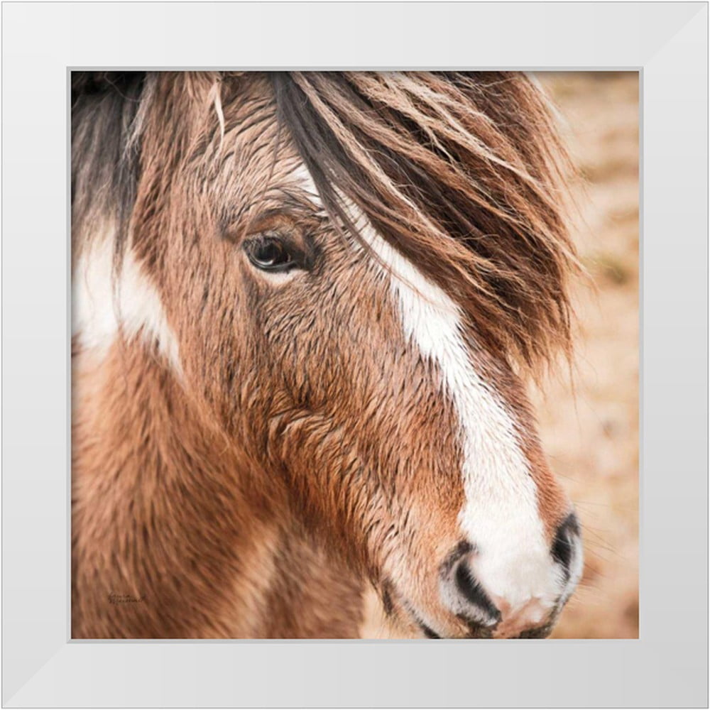 Marshall, Laura 26x26 White Modern Wood Framed Museum Art Print Titled ...