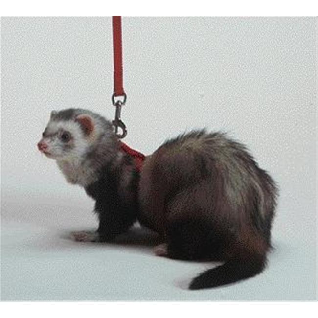 Marshall Pet Products - Ferret Harness And Lead Combo- Red 48 Inches ...