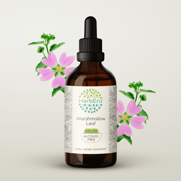 Marshmallow Leaf Alcohol-FREE Herbal Extract Tincture, Super-Concentrated Organic Marshmallow ...