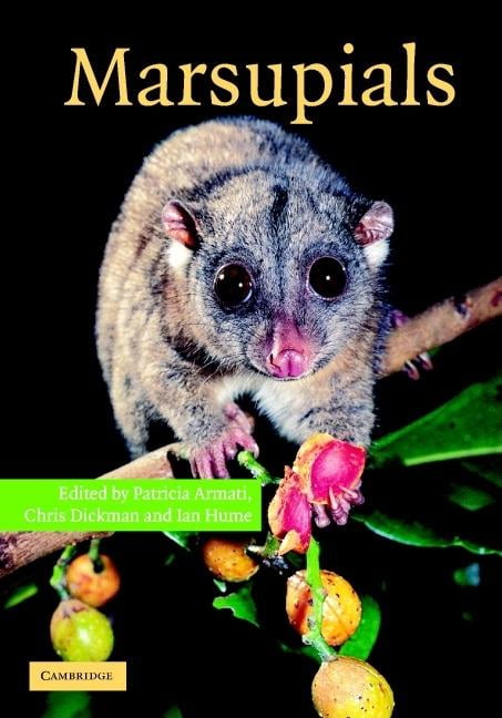 Marsupials, (Hardcover) - Walmart Business Supplies