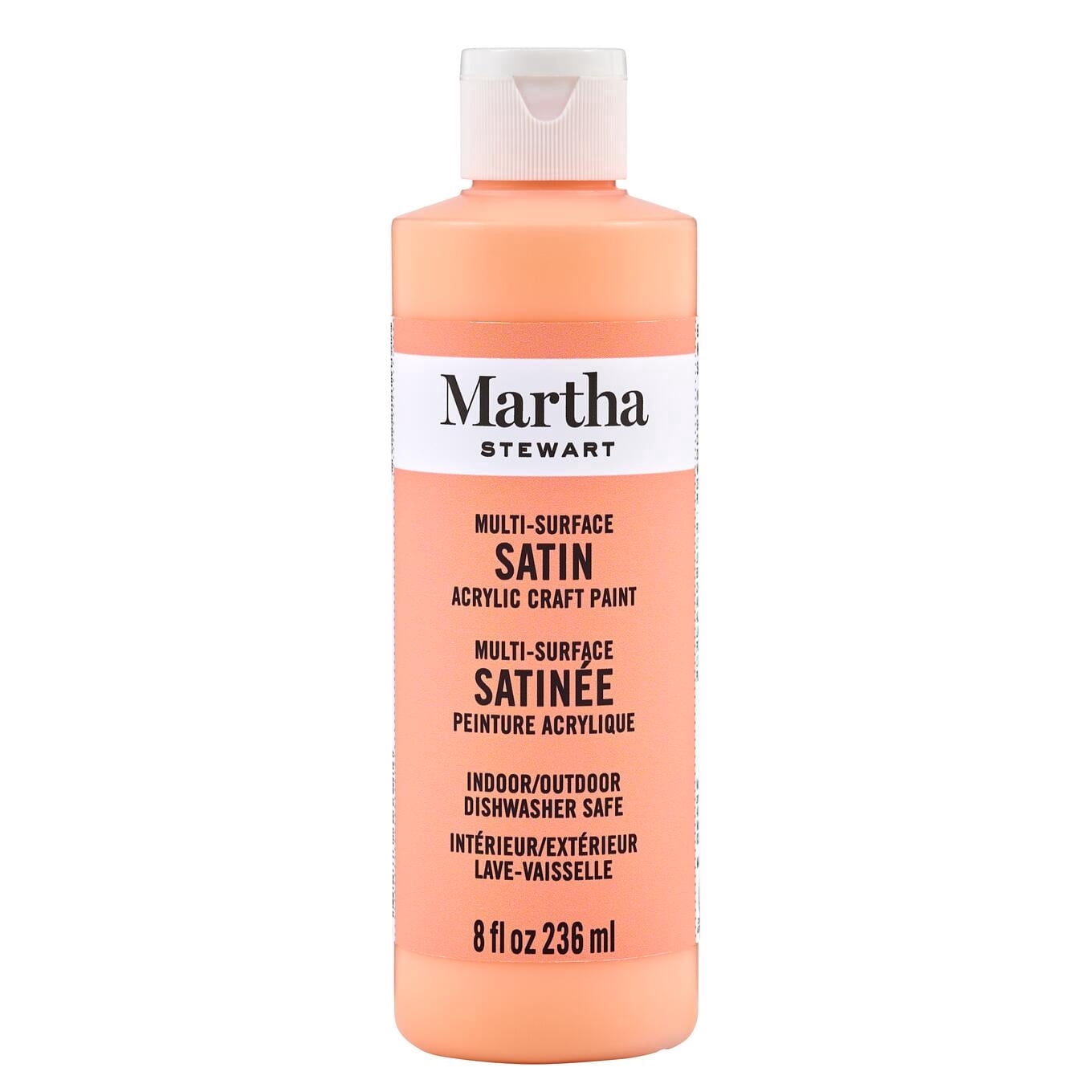 Martha Stewart Premium Satin Finish Craft Paint, Wild Salmon, 8 fl oz ...