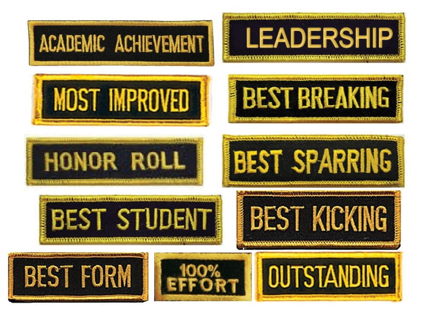 Martial Arts Achievement Patches, Best Form, kicking , Sparring ...