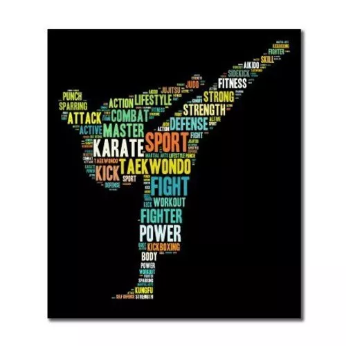 Martial Arts Karate Tae Kwon Do Sport Car Sticker Phone Decal Water ...