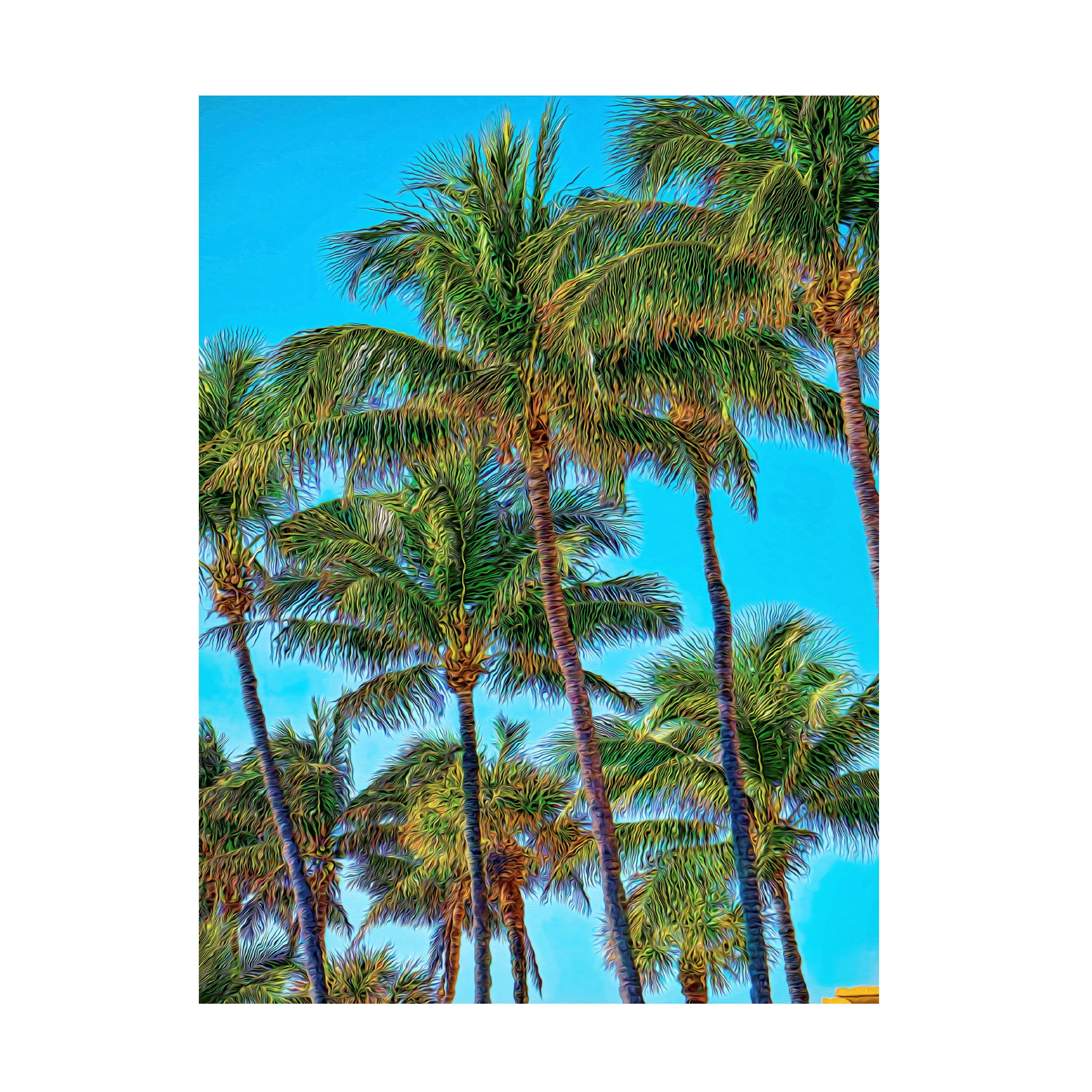 Martin Fine Photography 'Palm Trees 08' Canvas Art - Walmart.com
