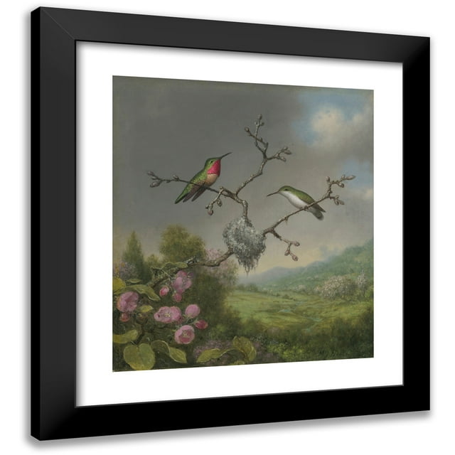 Martin Johnson Heade 12x14 Black Modern Framed Museum Art Print Titled ...
