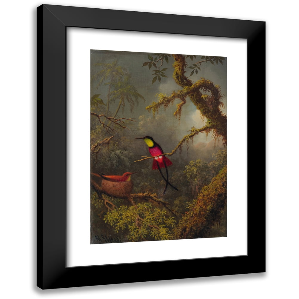 Martin Johnson Heade 14x18 Black Modern Framed Museum Art Print Titled ...