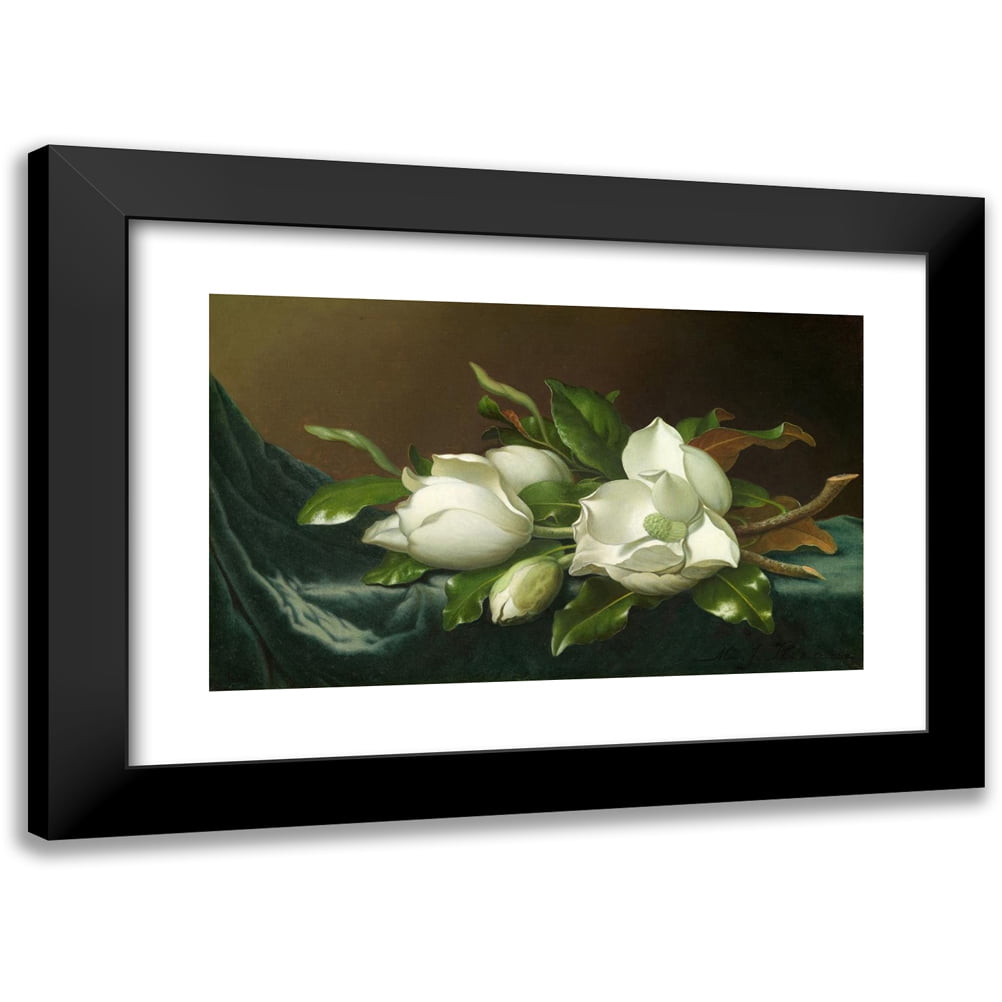 Martin Johnson Heade 18x12 Black Modern Framed Museum Art Print Titled ...