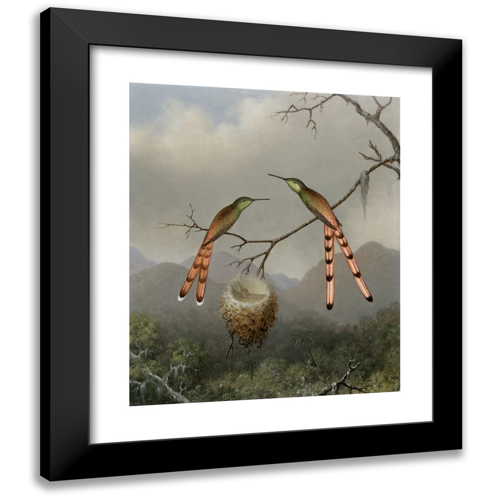 Martin Johnson Heade 20x24 Black Modern Framed Museum Art Print Titled ...