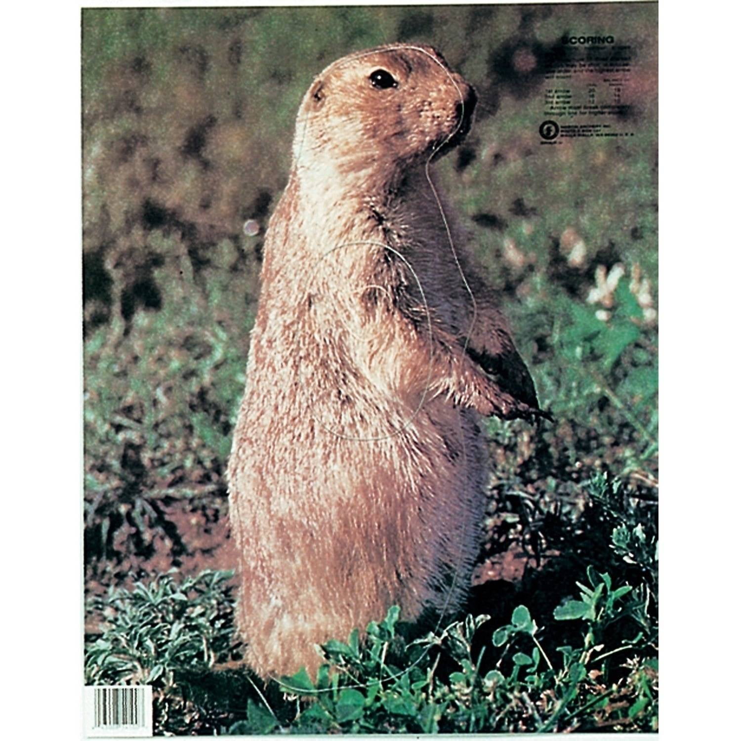 Martin Paper Targets - Walmart.com