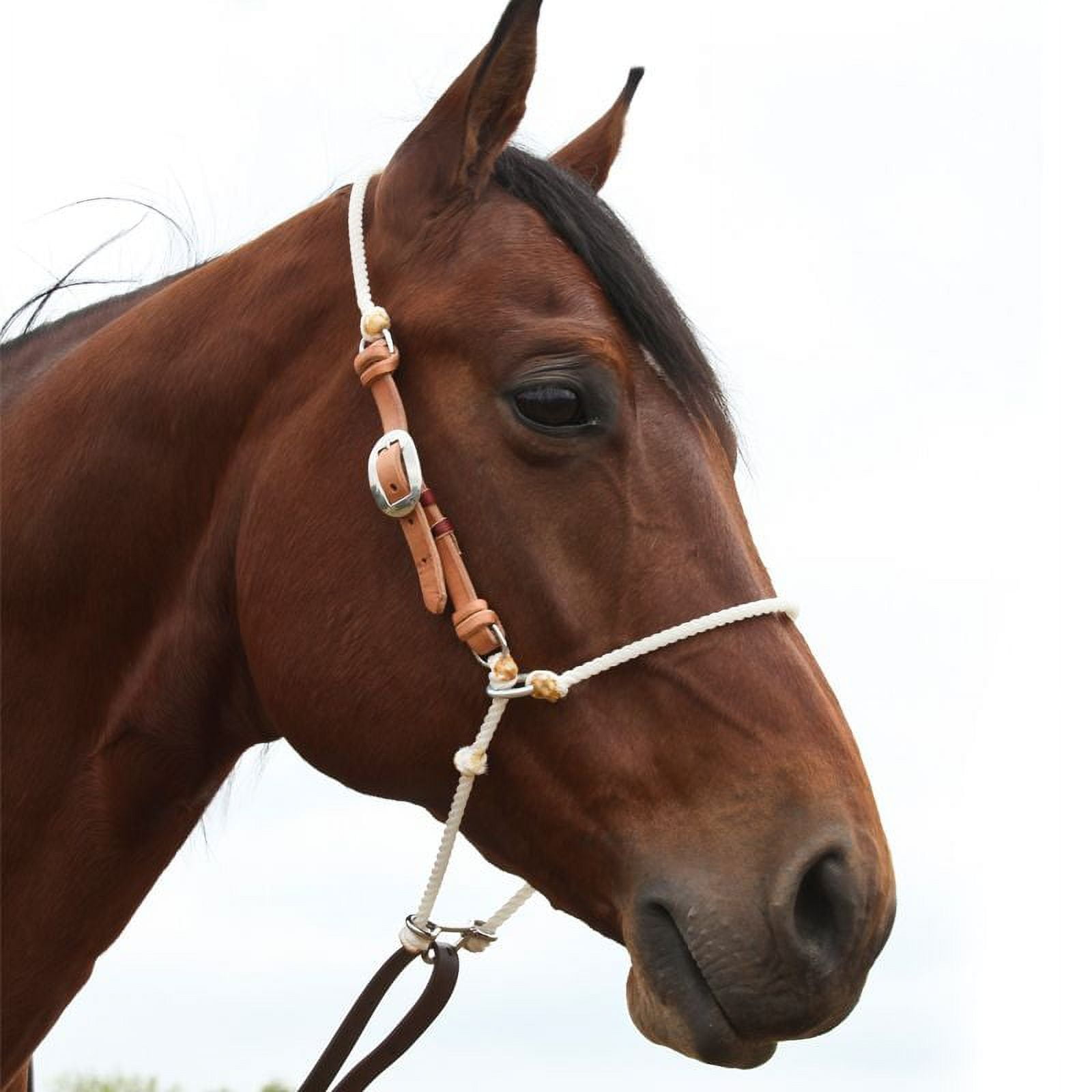 Martin Saddlery Adjustable Headsetter With Rope Nose - Walmart.com