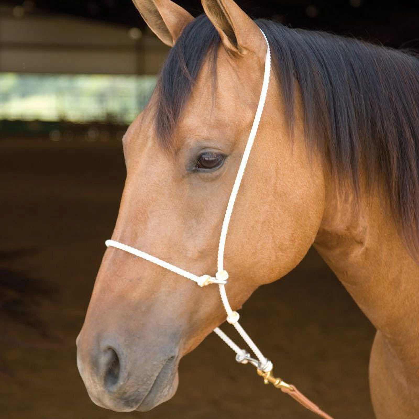 Martin Saddlery Headsetter with Rope Nose - Walmart.com