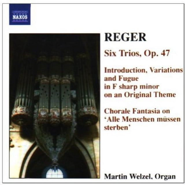 Martin Welzel - Organ Works 6 - Music & Performance - CD - Walmart ...