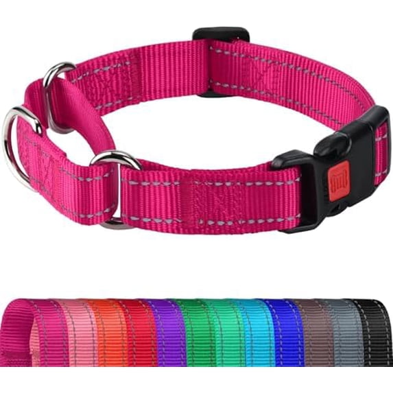 Martingale Collar for Dogs, Reflective Heavy Duty for Safety, Quick ...