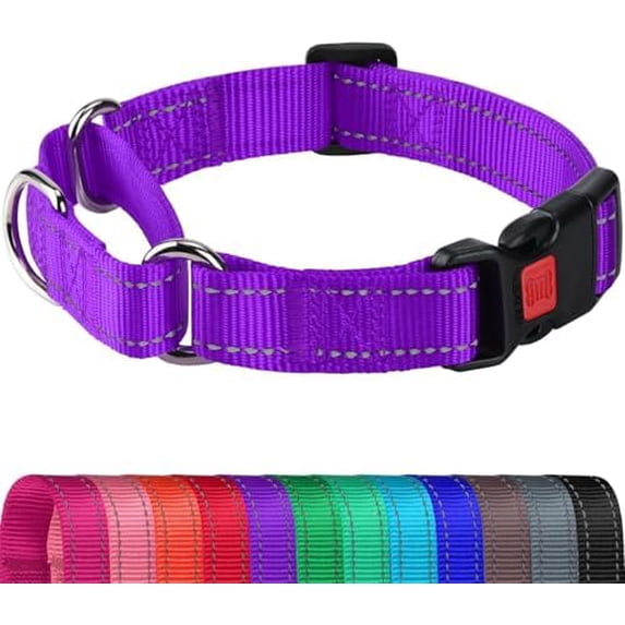 Martingale Collar for Dogs, Reflective Heavy Duty for Safety, Quick ...