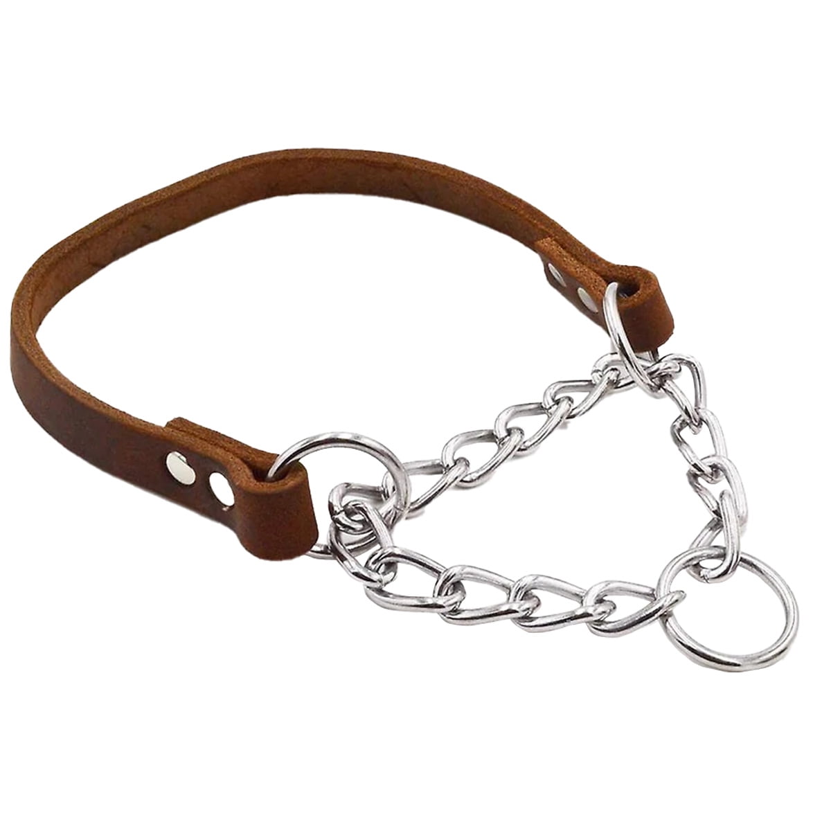 Martingale Collars for Dogs, Premium Collar Material with Stainless ...