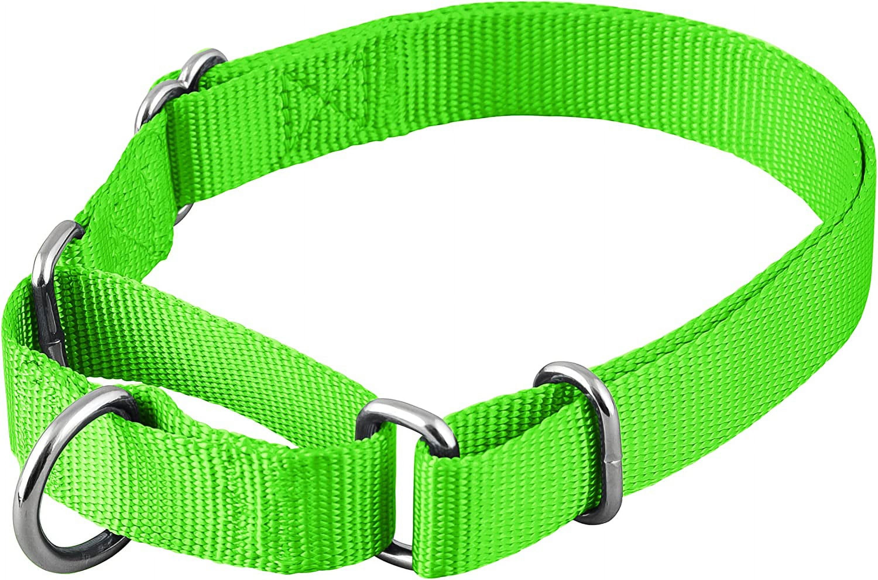 Martingale Dog Collar, Adjustable for Small, Medium, Large pet and ...