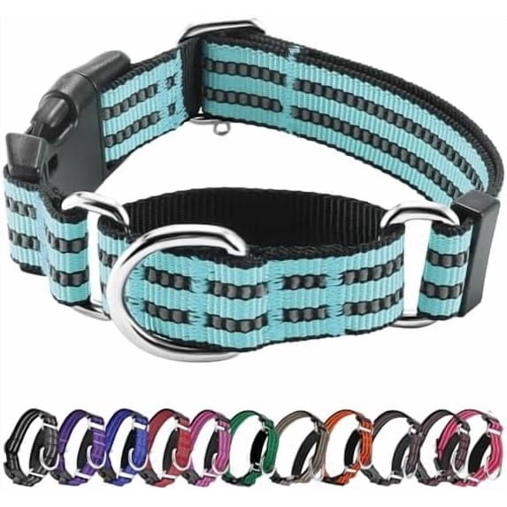 Martingale Dog Collars Reflective Nylon Dog Collar with Quick Release ...