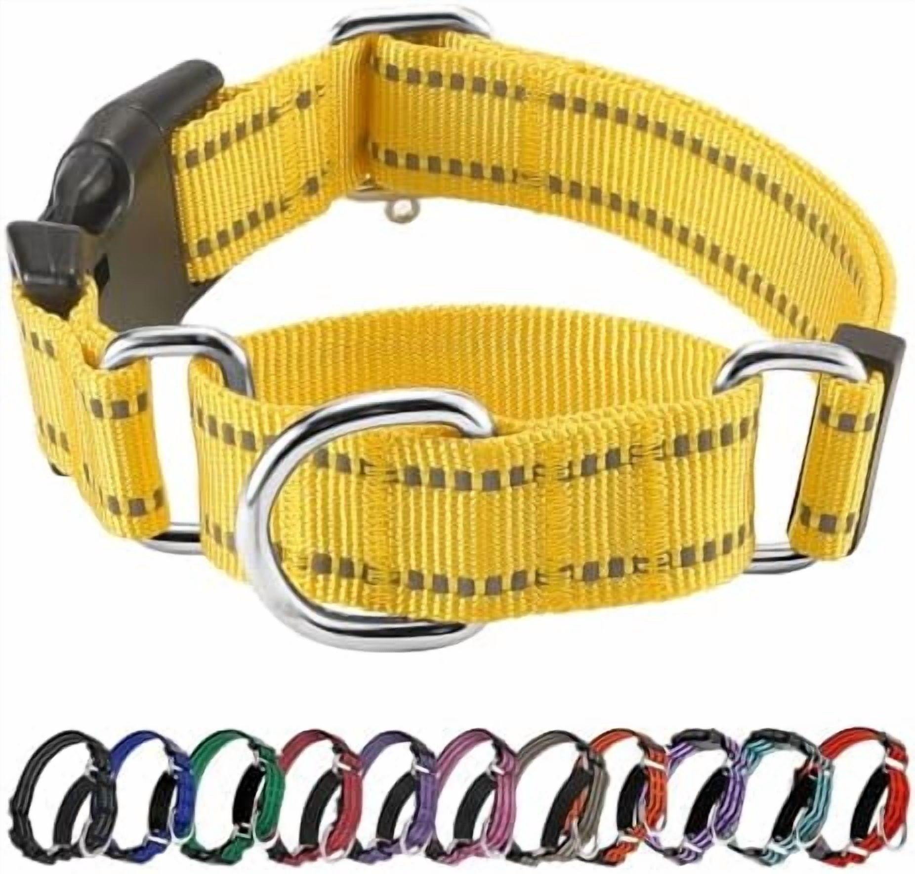 Martingale Dog Collars Reflective Nylon Dog Collar with Quick Release ...
