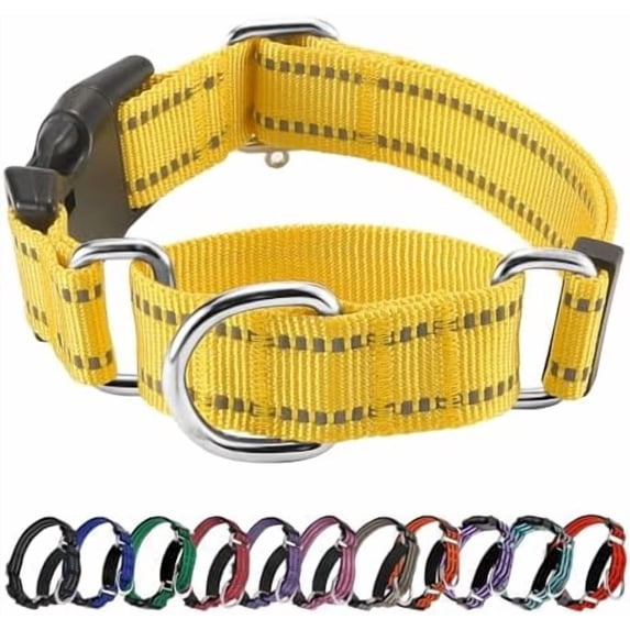 Martingale Dog Collars Reflective Nylon Dog Collar with Quick Release ...