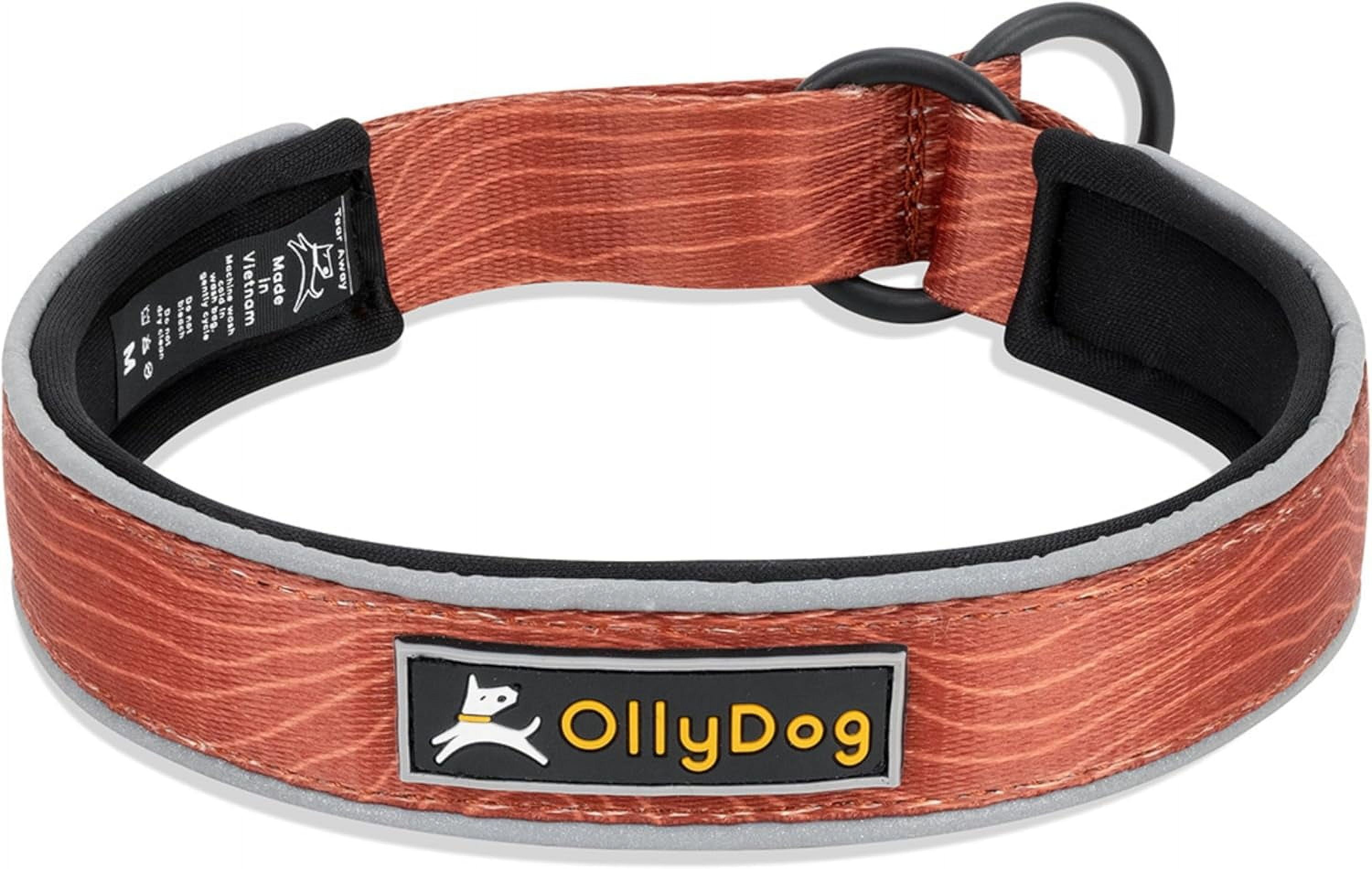 Martingale Reflective Comfort Collar, Reflective Slip Collar For Night ...