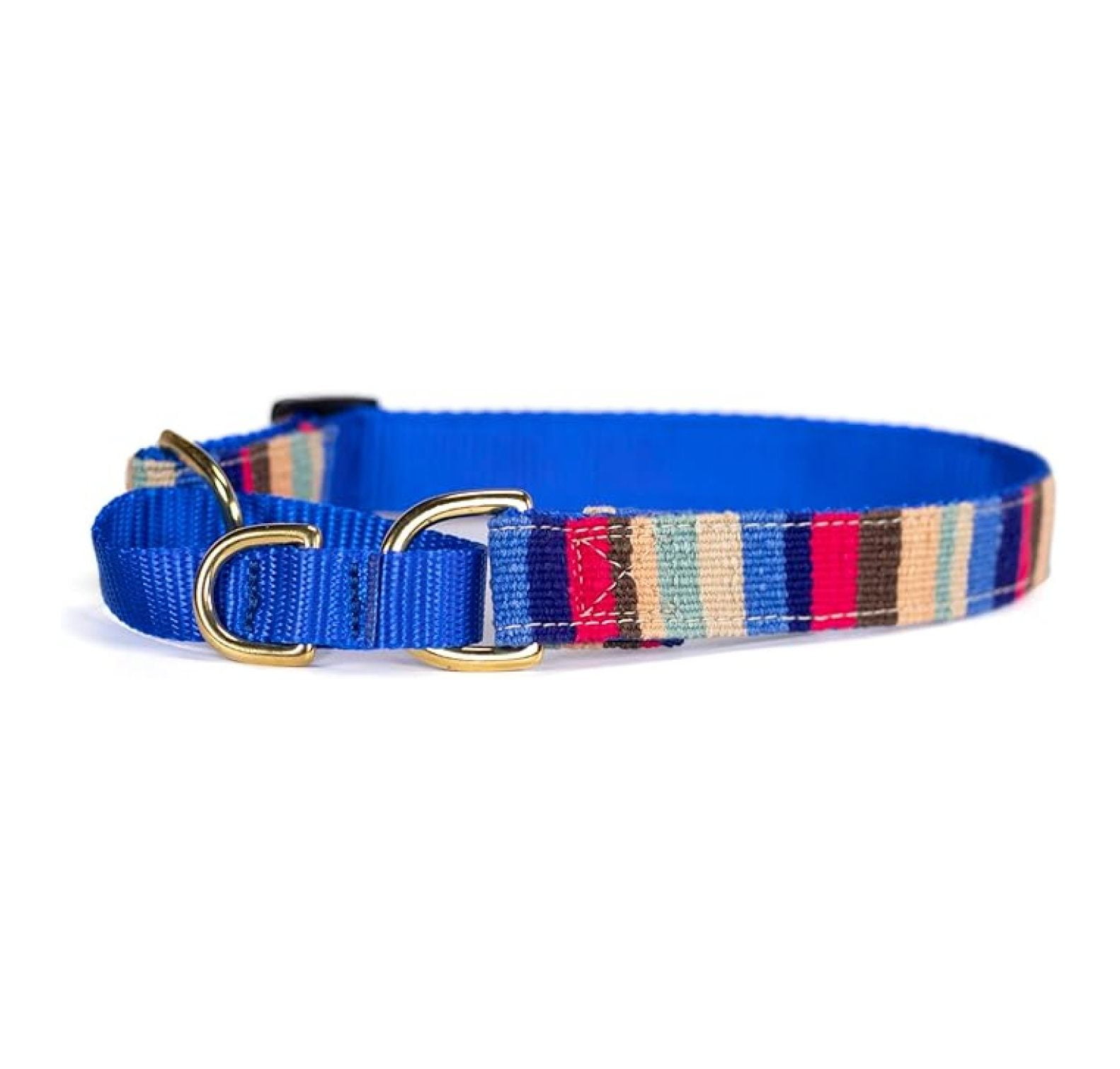 Martingale Style Dog Collar - at The Beach Nantucket (Extra Large 23-30 ...