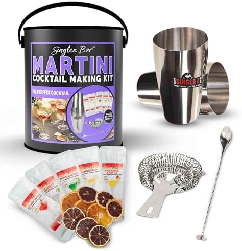 Martini Cocktail Kit Gift Set for Him - Home Bar Essentials with Five ...