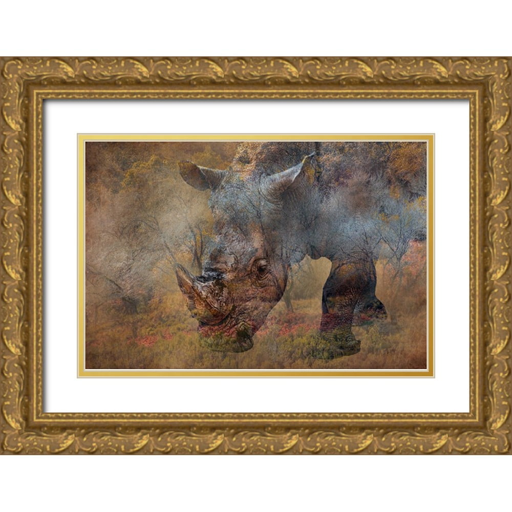Martins, Vitor 14x11 Gold Ornate Wood Framed with Double Matting Museum ...