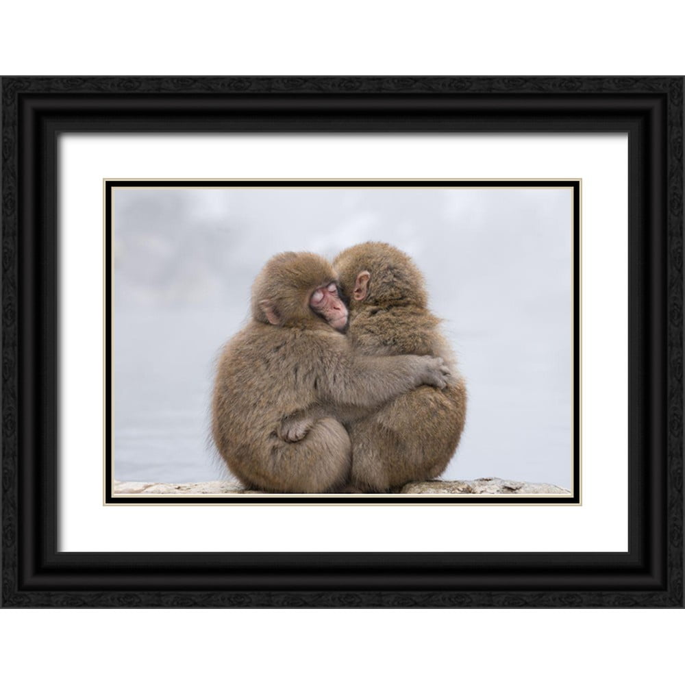 Marumoto, Takeshi 14x11 Black Ornate Wood Framed with Double Matting ...