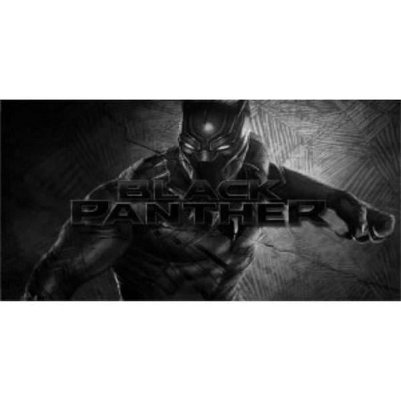 Marvel Black Panther Photo License Plate - Walmart.com