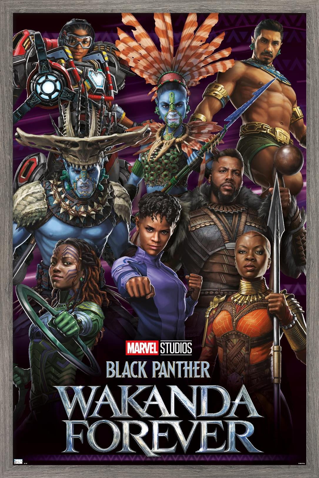 Marvel Black Panther: Wakanda Forever - Group Wall Poster, 14.725" x 22 ...