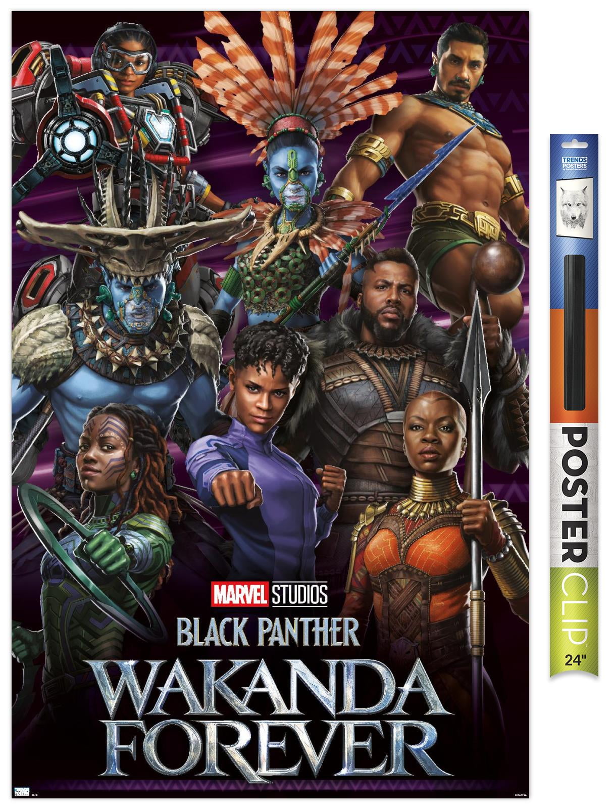 Marvel Black Panther: Wakanda Forever - Group Wall Poster, 22.375" x 34 ...