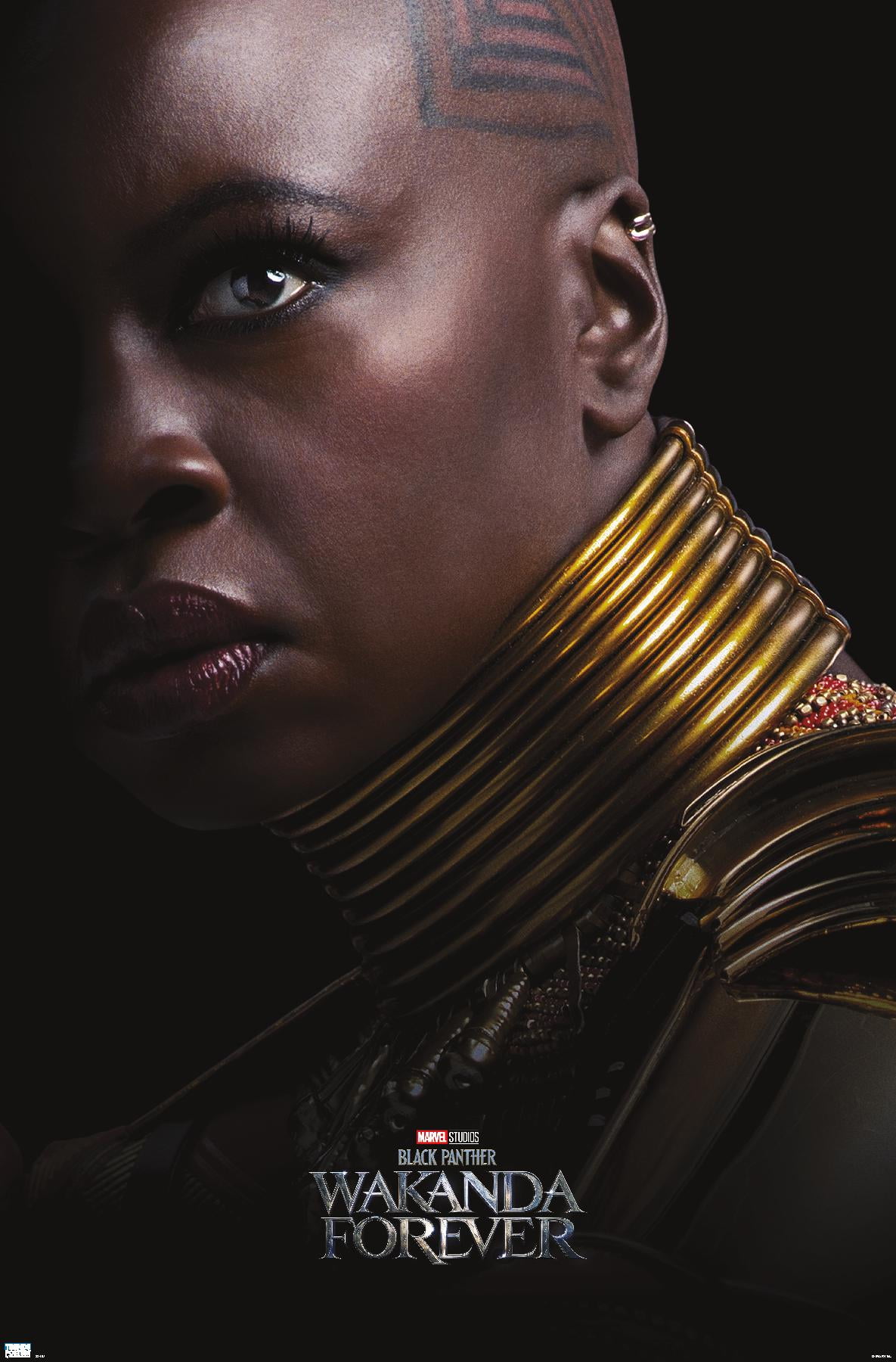 Marvel Black Panther: Wakanda Forever - Okoye One Sheet Wall Poster, 22 ...