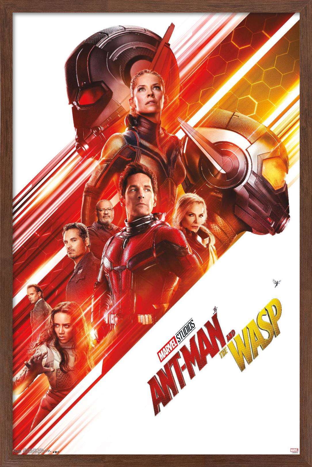 Marvel Cinematic Universe - Ant-Man - Group One Sheet Wall Poster, 14. ...