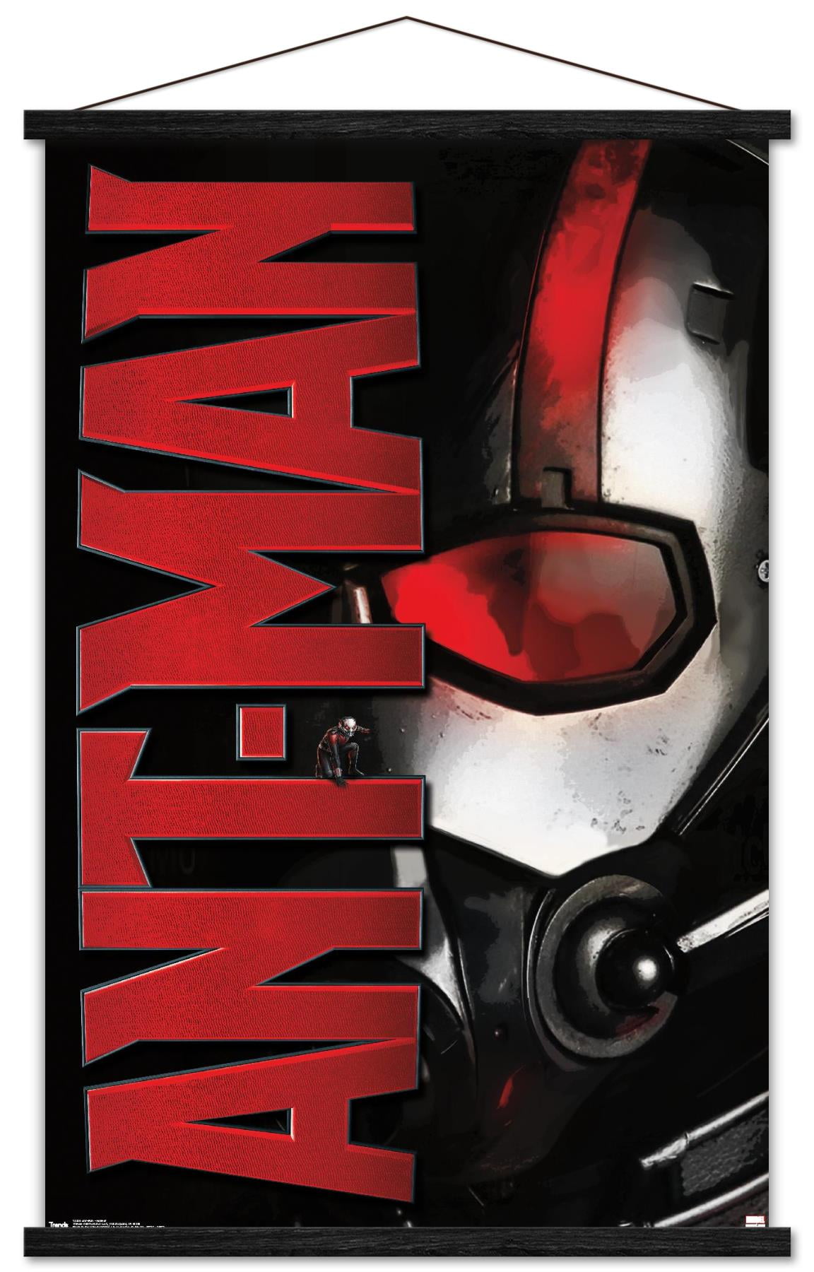 Marvel Cinematic Universe - Ant-Man - Helmet - Walmart.com