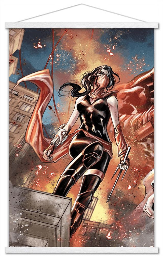 Marvel Comics - Elektra - Cover #1 Wall Poster with Wooden Magnetic ...