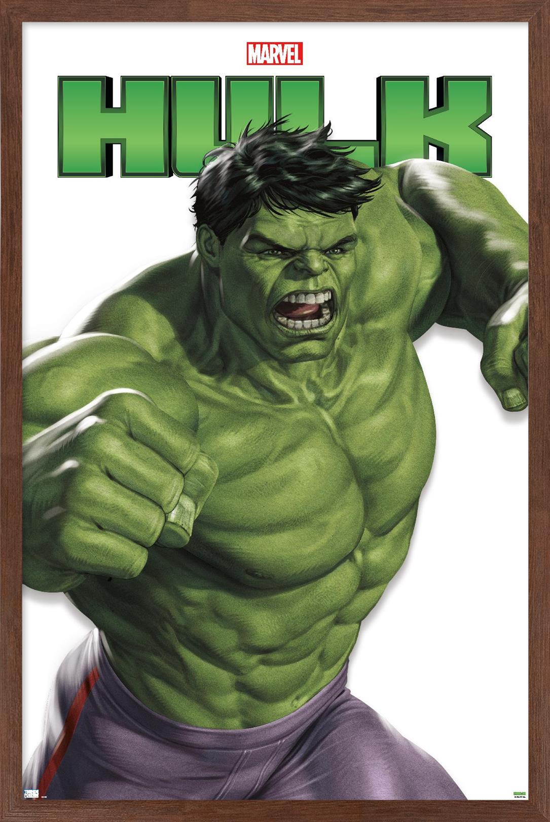 Marvel Comics - Hulk Feature Series Wall Poster, 22.375" x 34" Framed ...