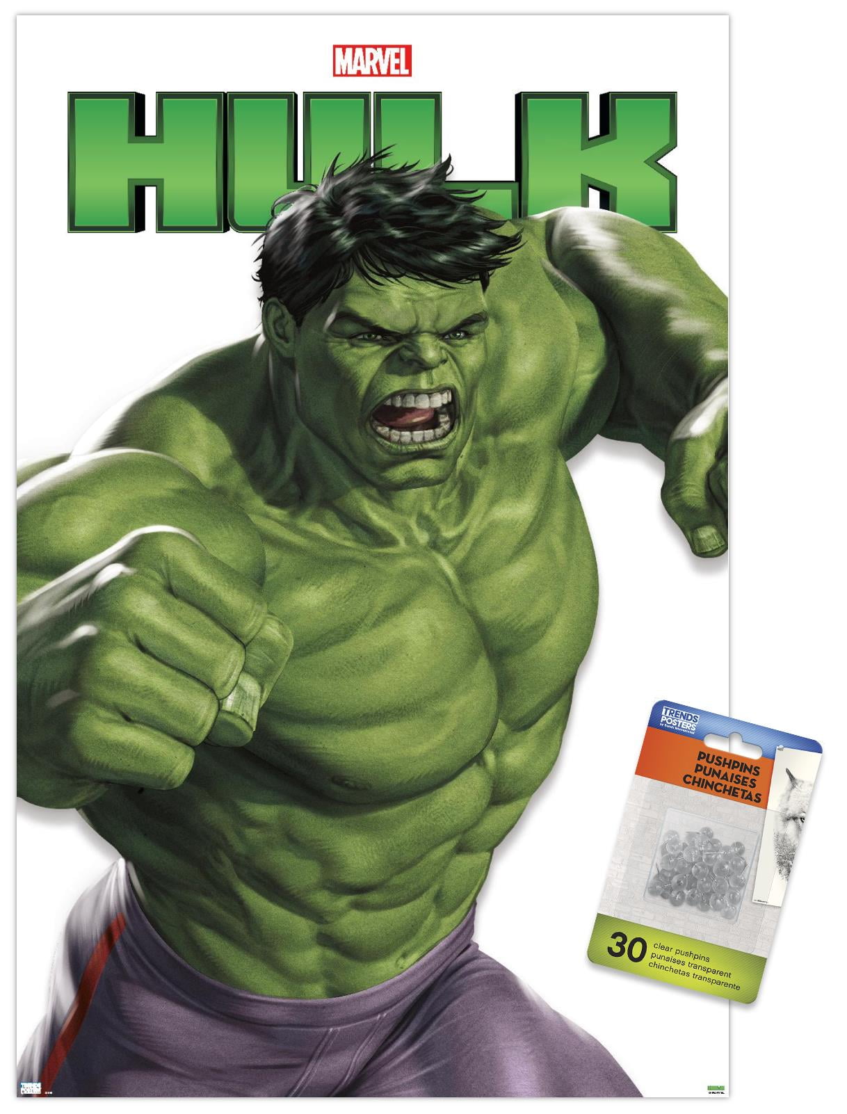 Marvel Comics Hulk Feature Series Wall Poster with Push Pins, 14.725" x ...